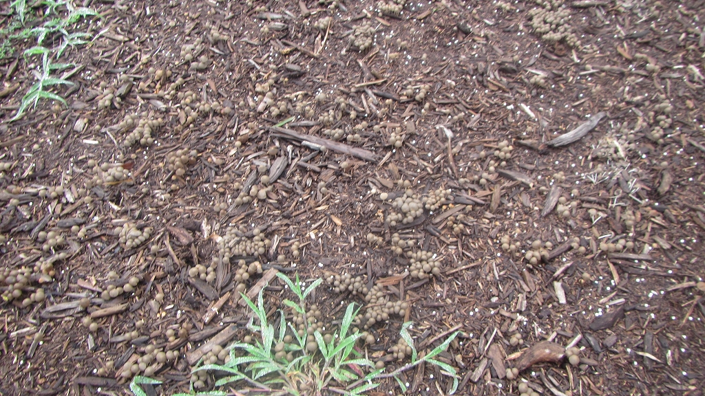 2015年8月の日記